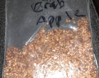 Seeds for Planting, Malus Fusca Seeds, Oregon Crab Apple, Bulk ...