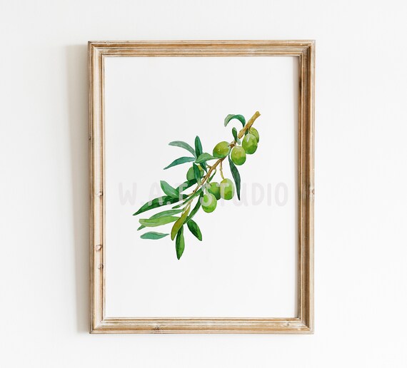 Olive Watercolor Prints Olive Watercolor Wall Art Olive - Etsy