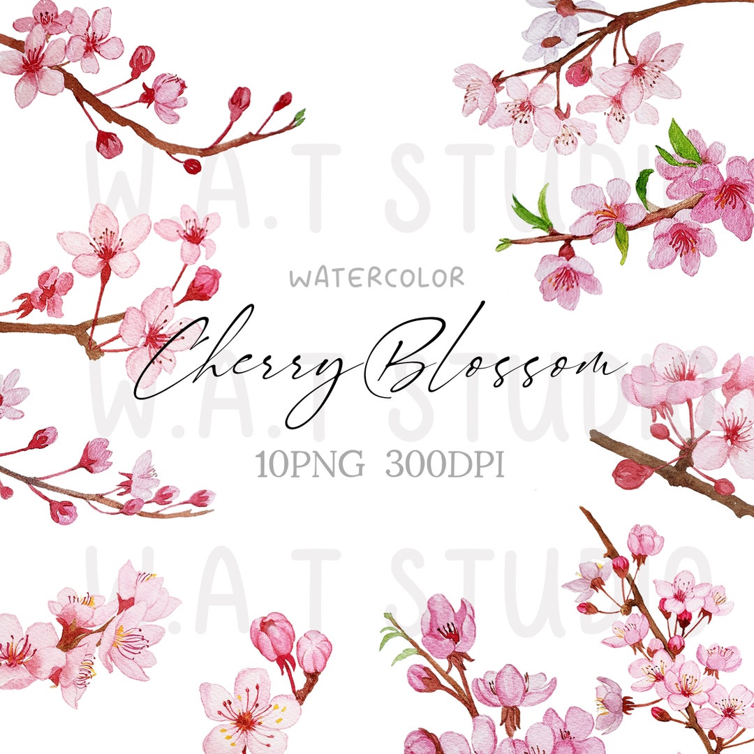 Cherry Blossom Watercolor Clipart, Cherry Blossom Watercolor Prints ...