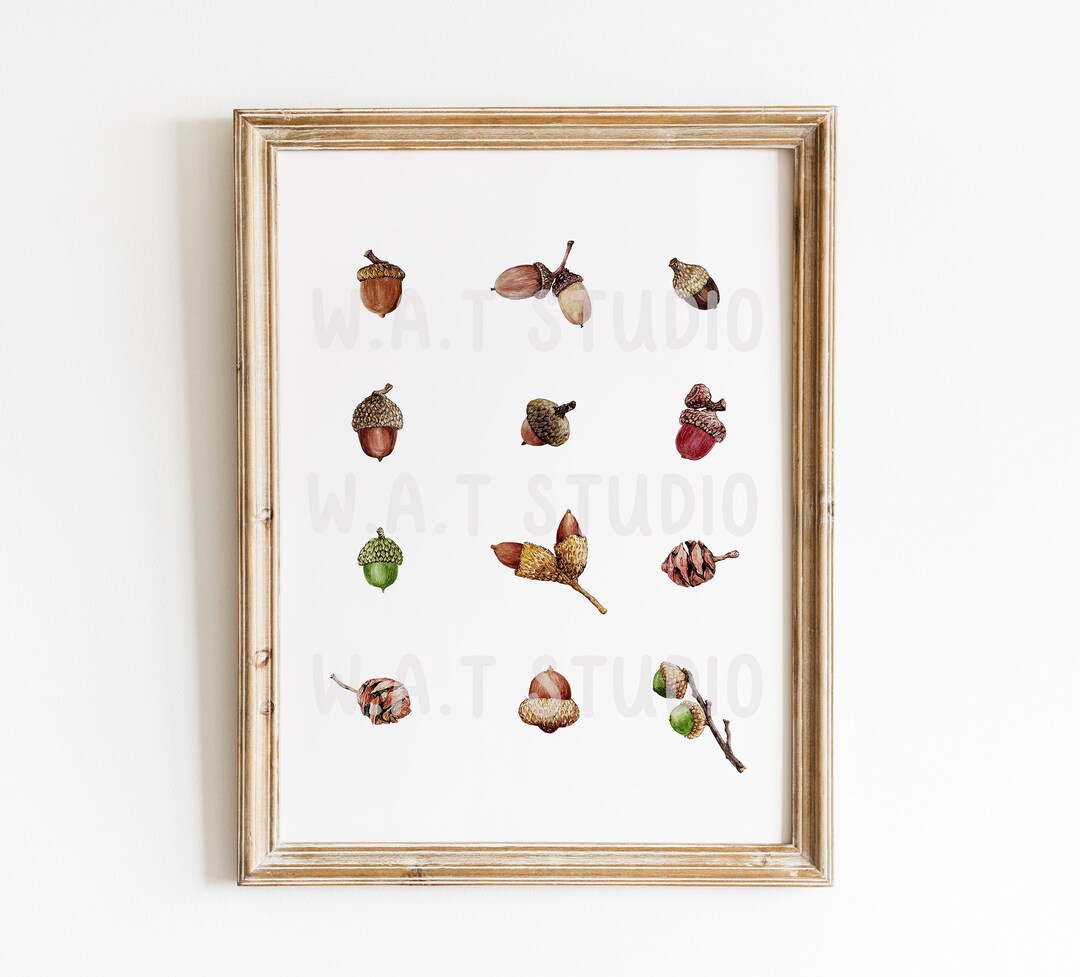 Acorn Watercolor Prints, Acorn Watercolor Wall Decor, Fall Image ...