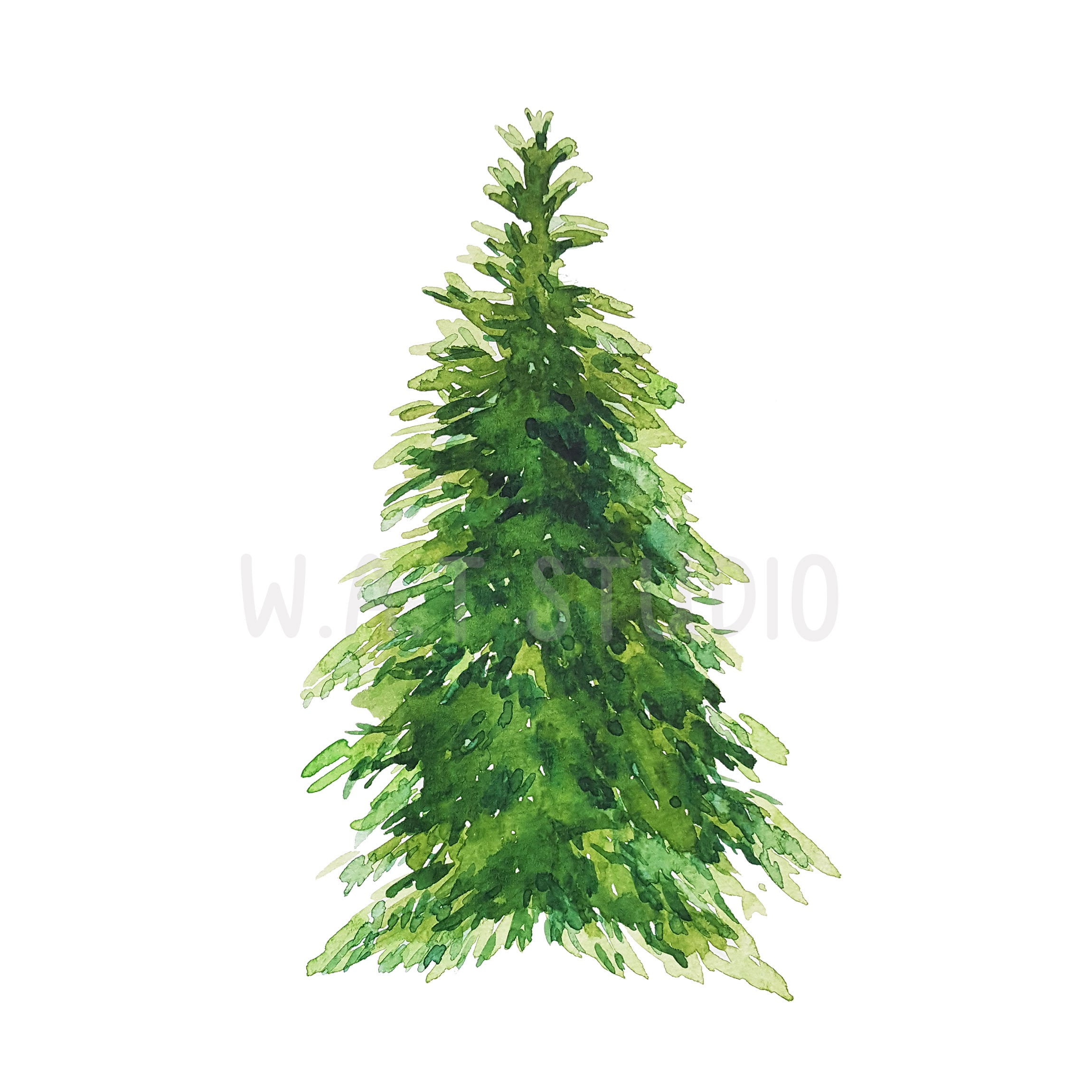 Christmas Tree Watercolor Clipart, Christmas Tree Watercolor Print ...