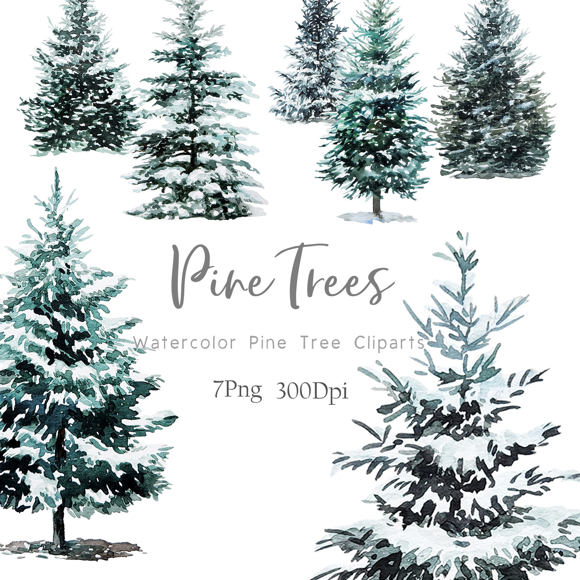 Christmas Tree Watercolor Clipart Pine Tree Watercolor - Etsy