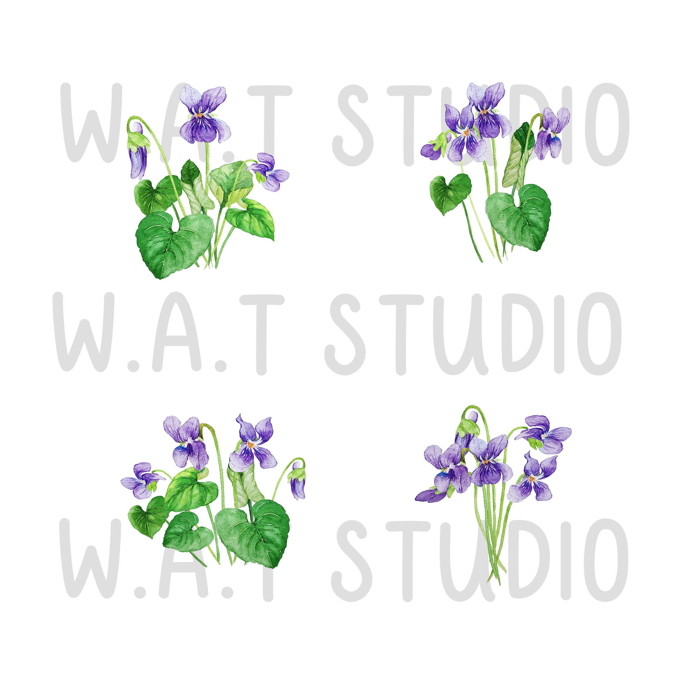 Violet Flower Watercolor Clipart, Violet Watercolor Prints, Wild Flower ...