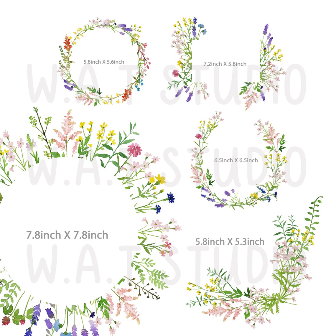 Wild Flower Watercolor Clipart Wild Flower Watercolor Prints - Etsy