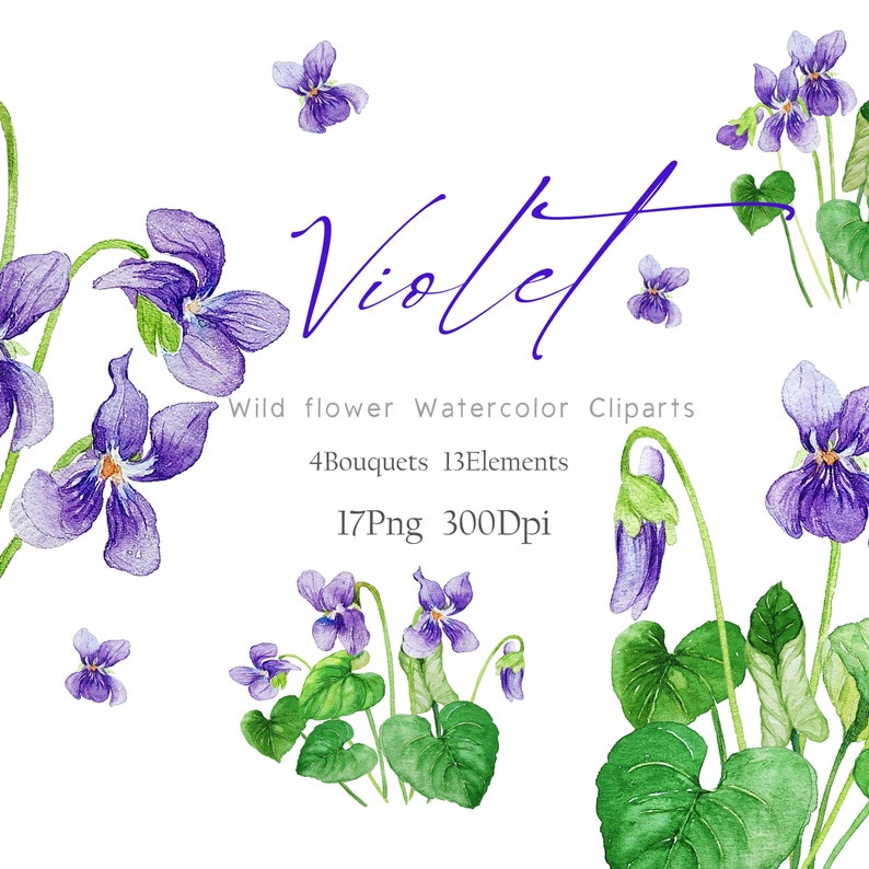 Violet Flower Watercolor Clipart, Violet Watercolor Prints, Wild Flower ...