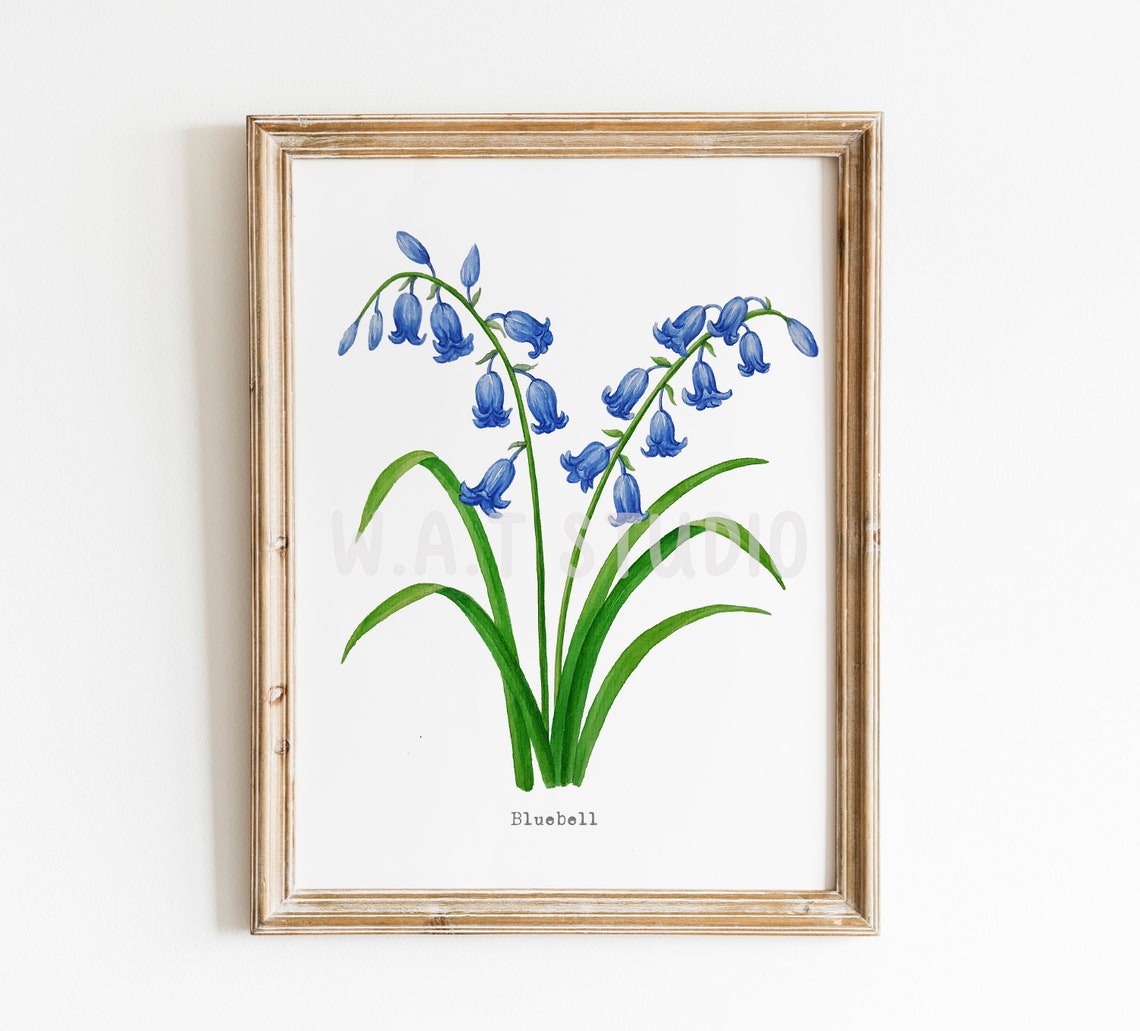 Bluebell Flower Watercolor Prints, Wild Flower Watercolor Wall Art ...