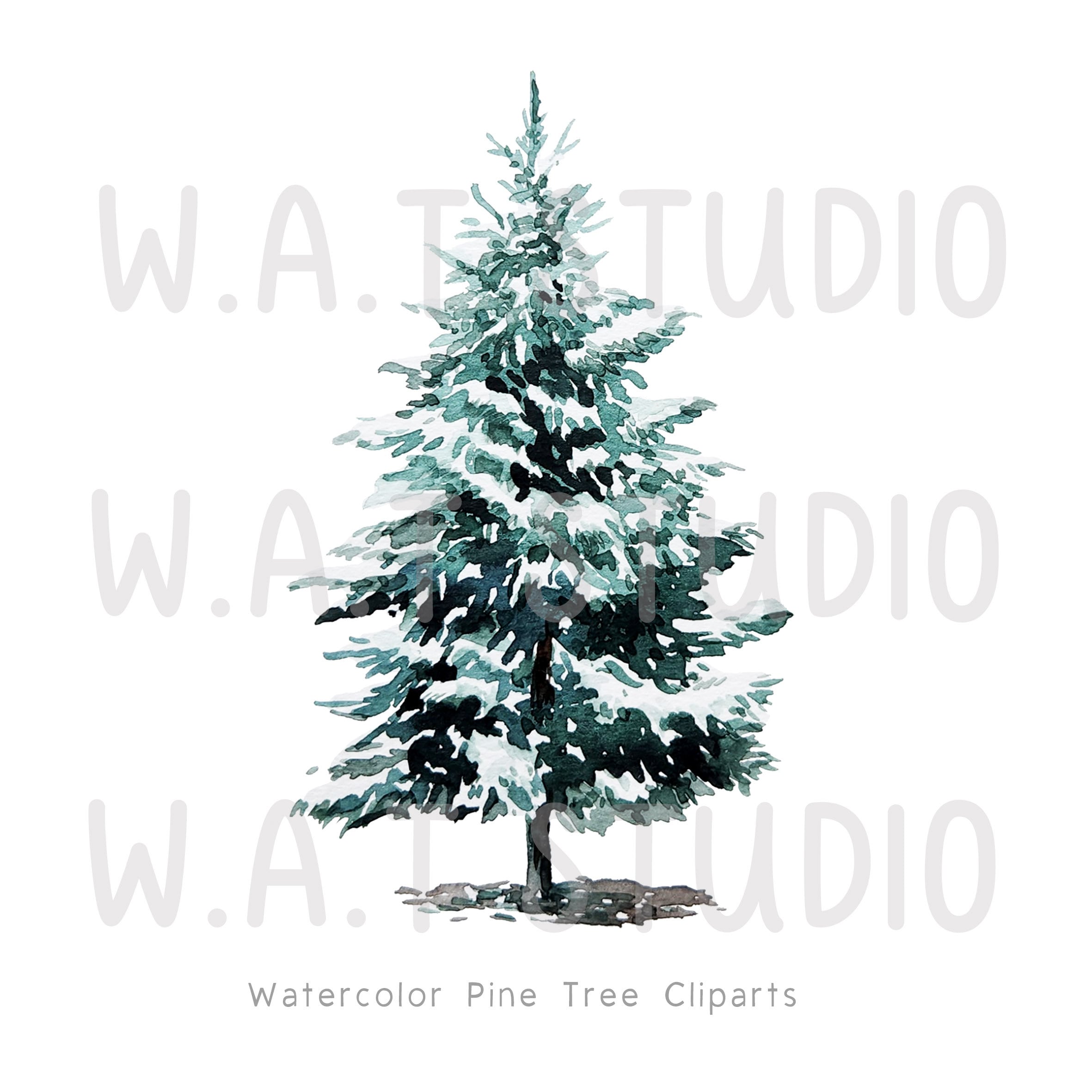 Christmas Tree Watercolor Clipart, Pine Tree Watercolor Clipart, Winter ...