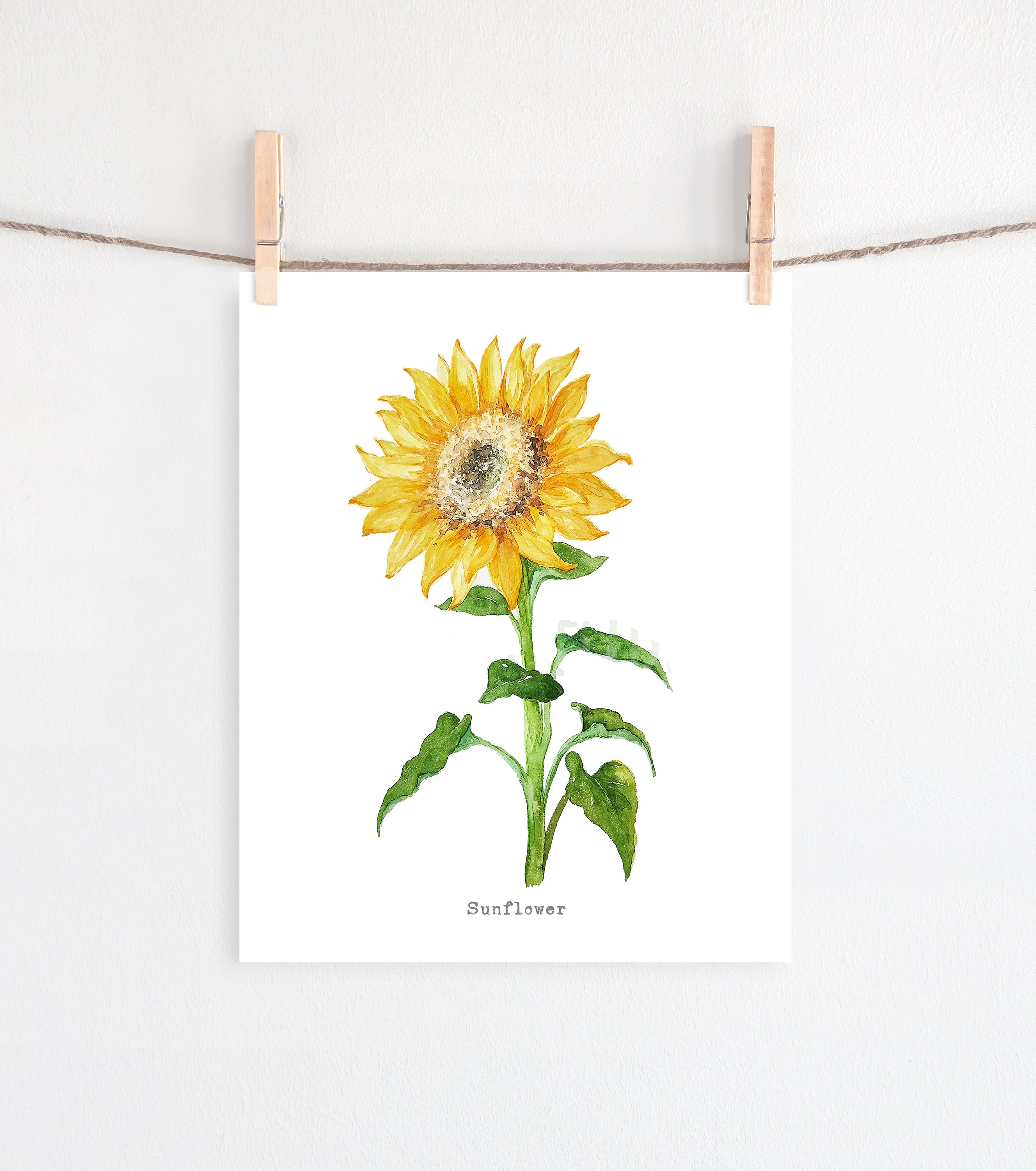Sunflower Flower Watercolor Prints Sunflower Watercolor Wall - Etsy