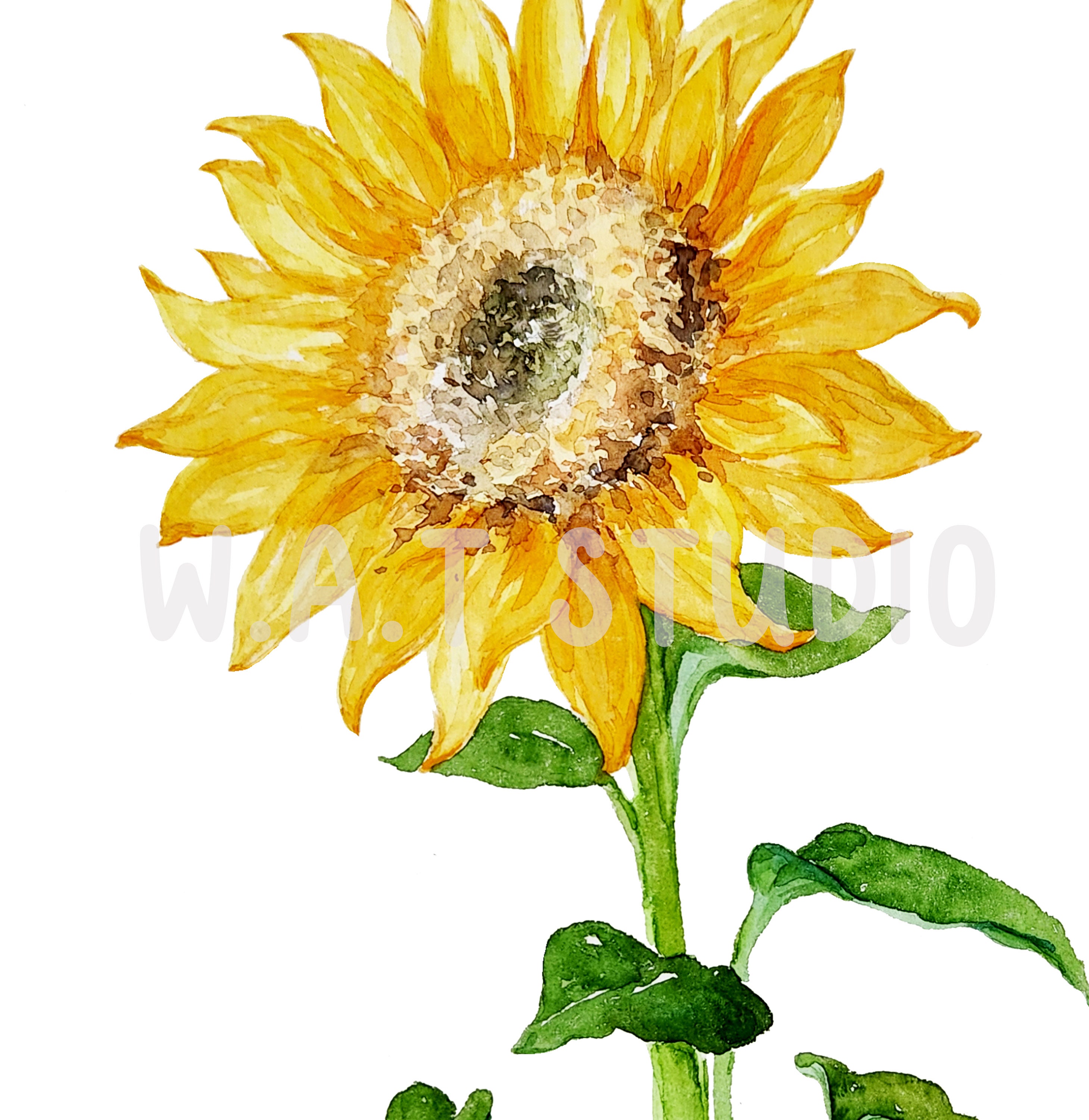 Sunflower Flower Watercolor Prints Sunflower Watercolor Wall - Etsy