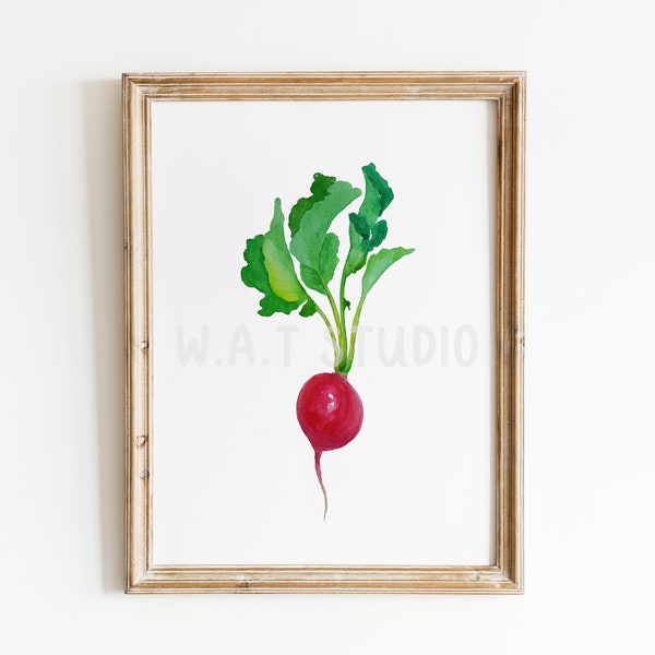 Radish Art - Etsy