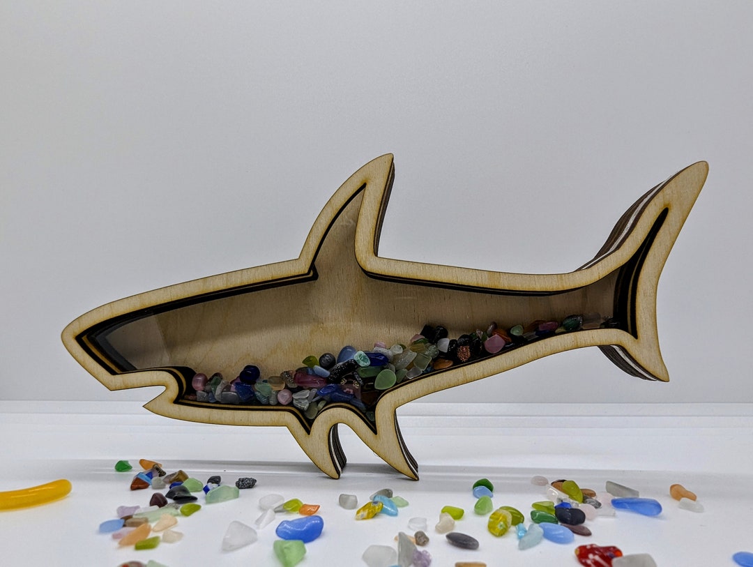 Shark Shadow Box for Rocks Teeth Agates Sand Beach Glass Treasures FL ...