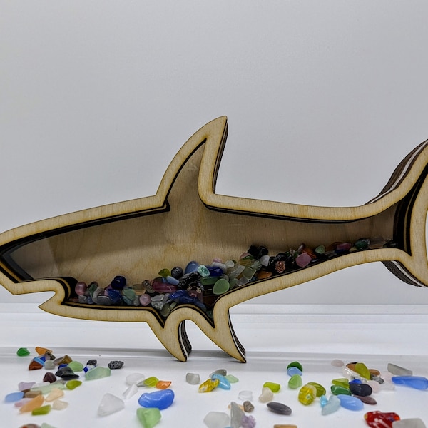 Shark Tooth Display - Etsy