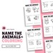 Naming Animals + Coloring Pages | Activity Pages for Children - Etsy