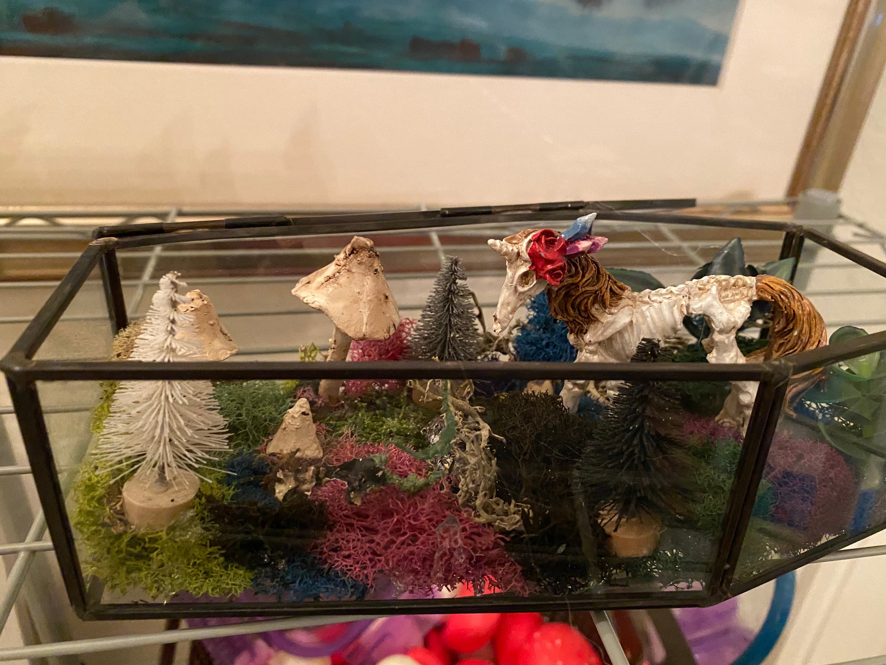 Gothic Forest Glass Coffin Diorama - Etsy