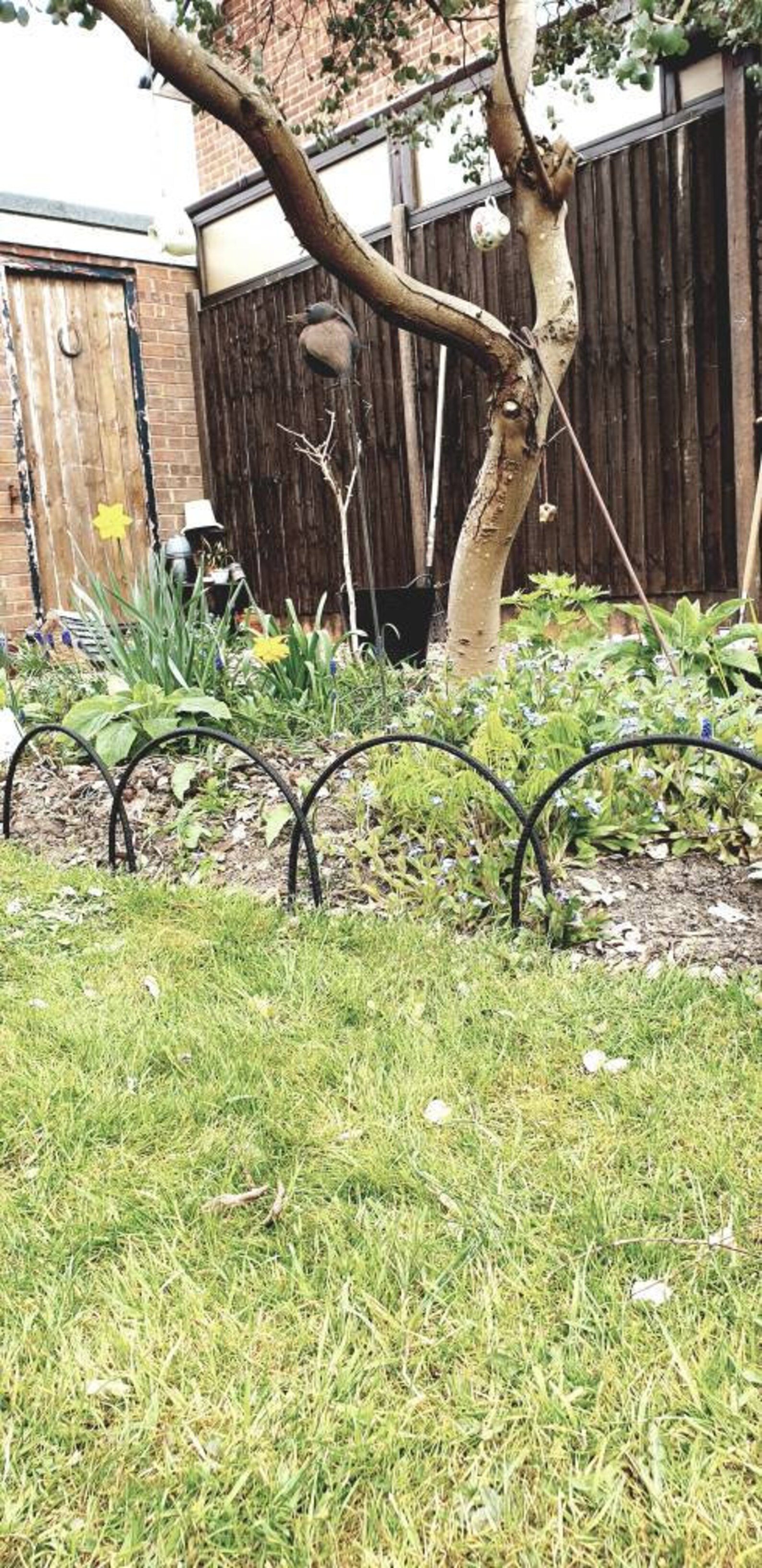 Flower Bed Path Borders Metal Modern Rustic Contemporary | Etsy