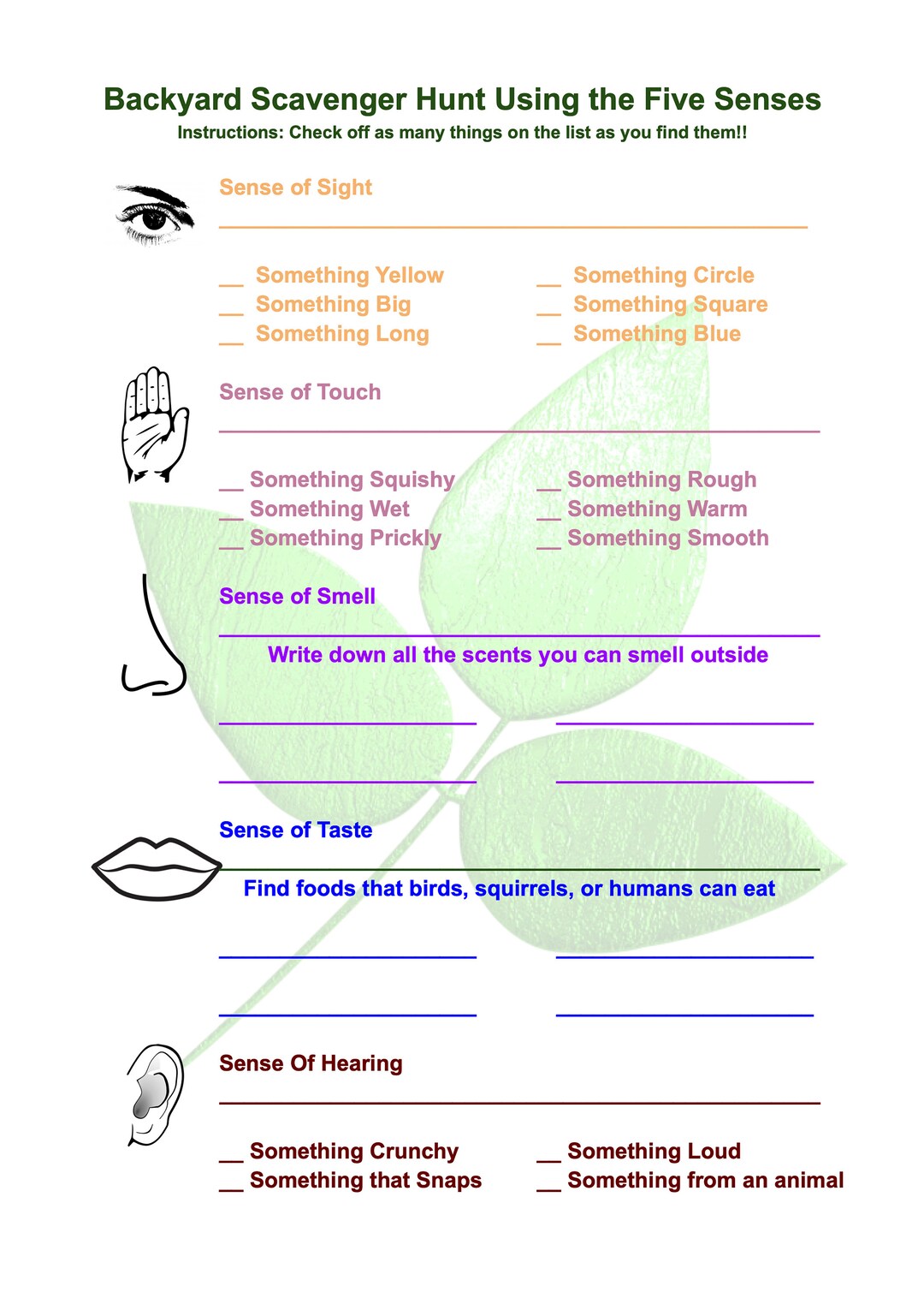 Backyard Scavenger Hunt Using the Five Senses - Etsy