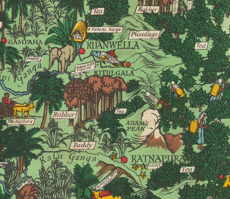 Old Map of Ceylon Vintage Pictorial Map Posters Vintage Map - Etsy