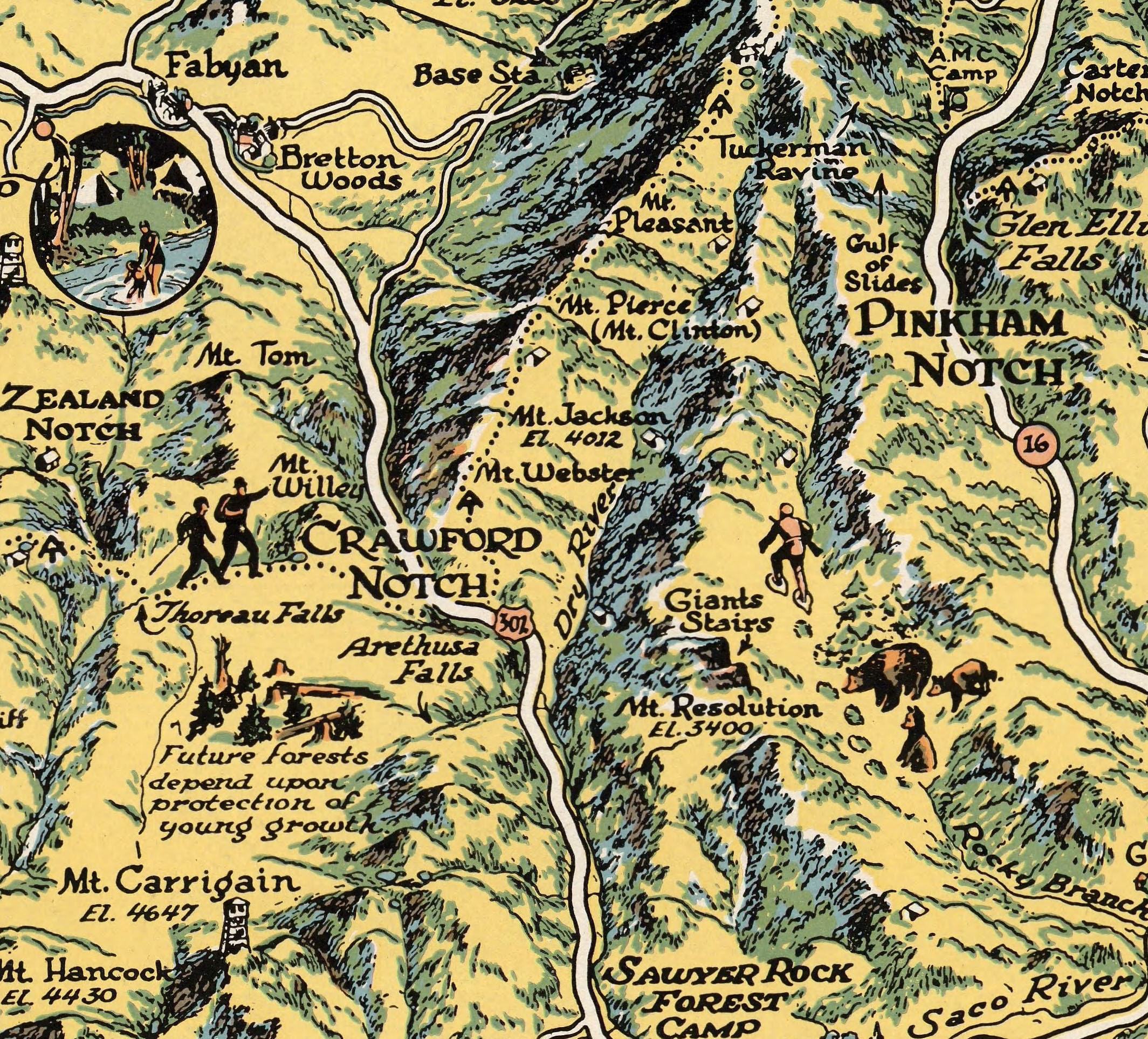 Old Map of White Mountain National Forest Vintage Pictorial | Etsy