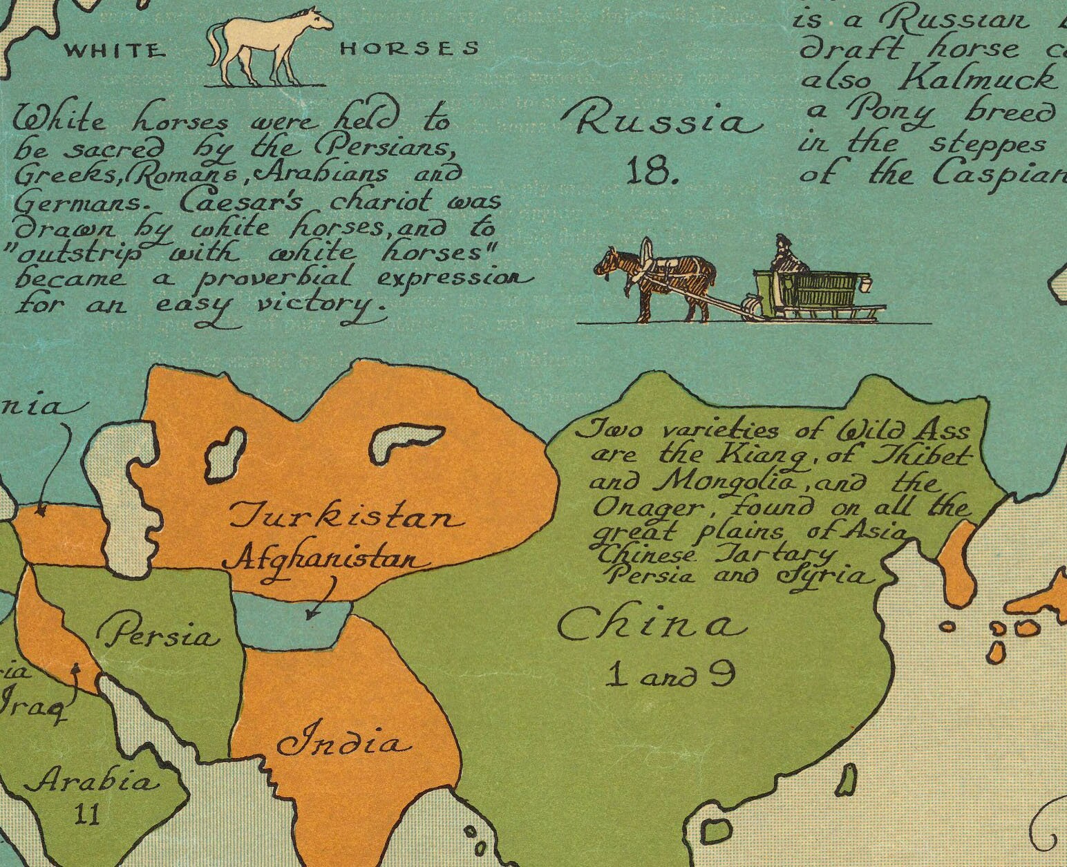 Horse Map of the World Vintage Pictorial Map Postersvintage - Etsy