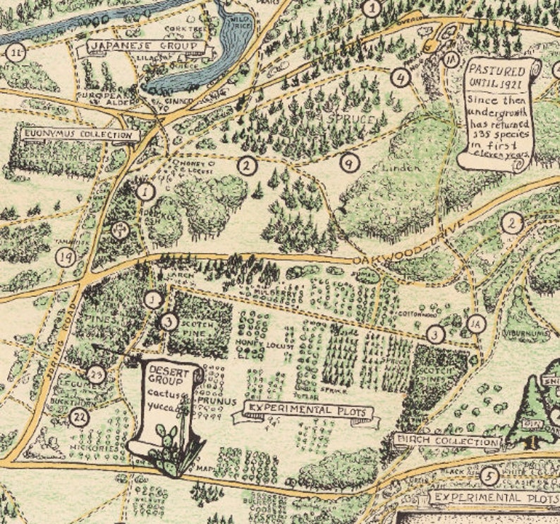 Old Map of The Morton Arboretum Map of Illinois Vintage | Etsy