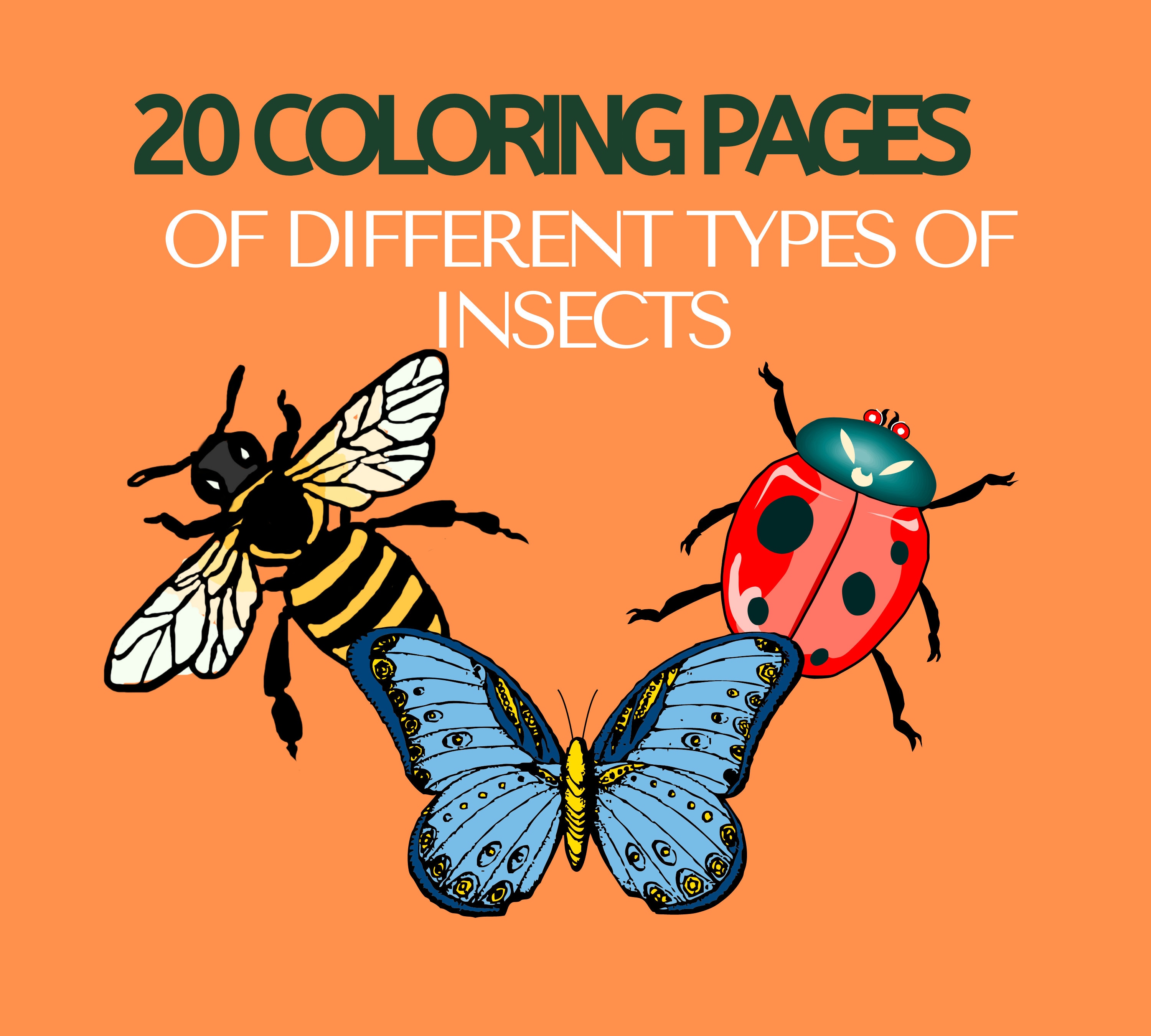 Insect Coloring Pages Colouring Book for Kids Educational and ...
