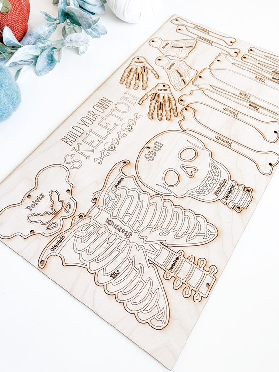 Build Your Own Skeleton Wooden Skeleton Skeletal System - Etsy
