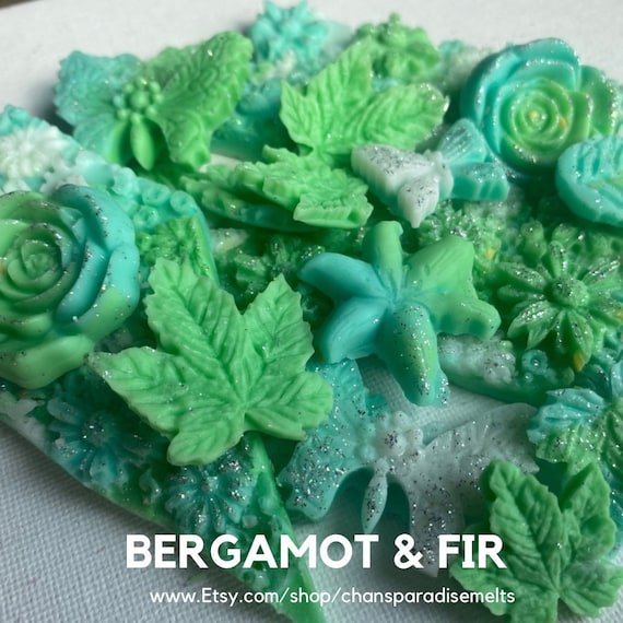 Bergamot & Fir Wax Melts Masculine Scents Wax Melts Canada - Etsy