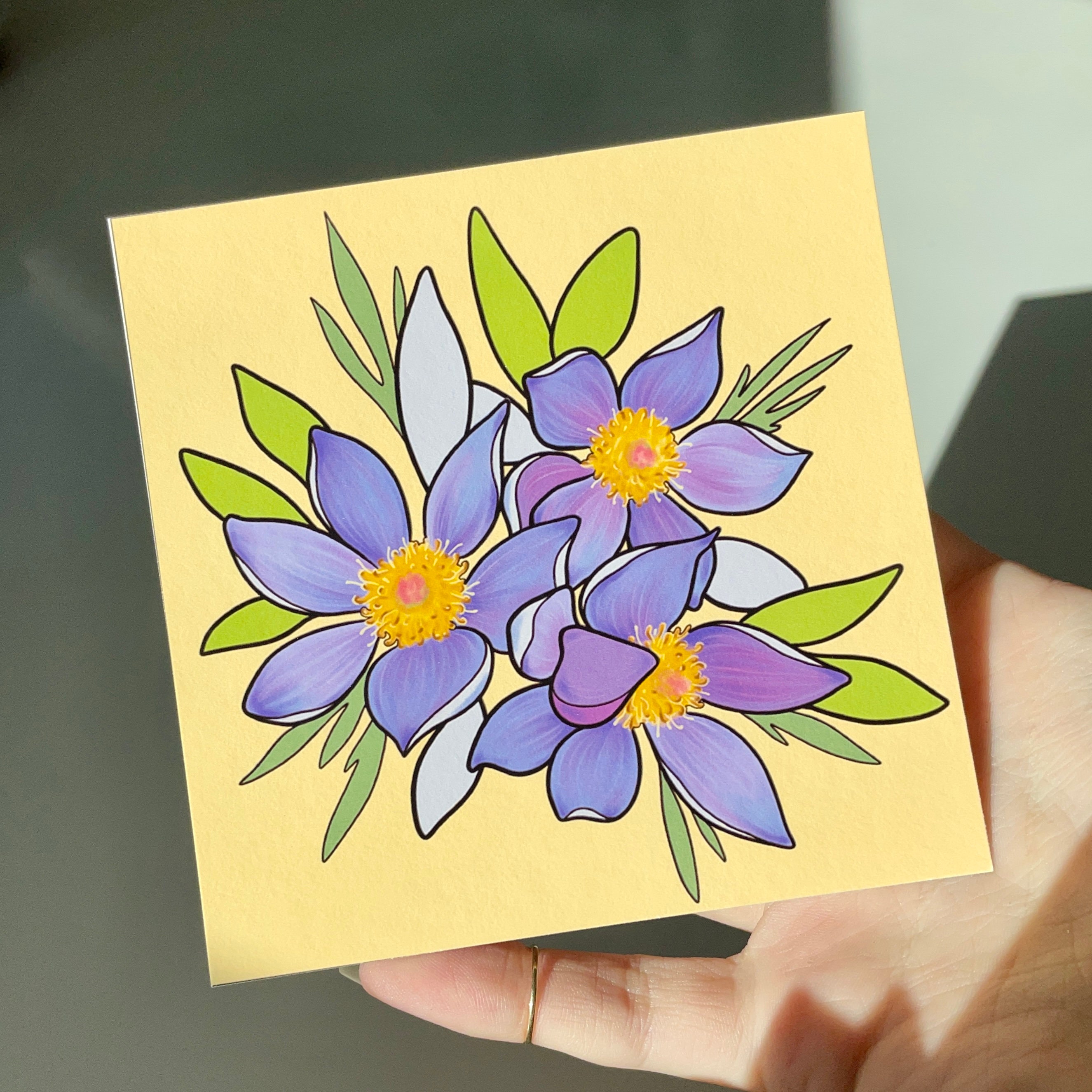 Pasque Print Flower Illustration South Dakota State Flower - Etsy