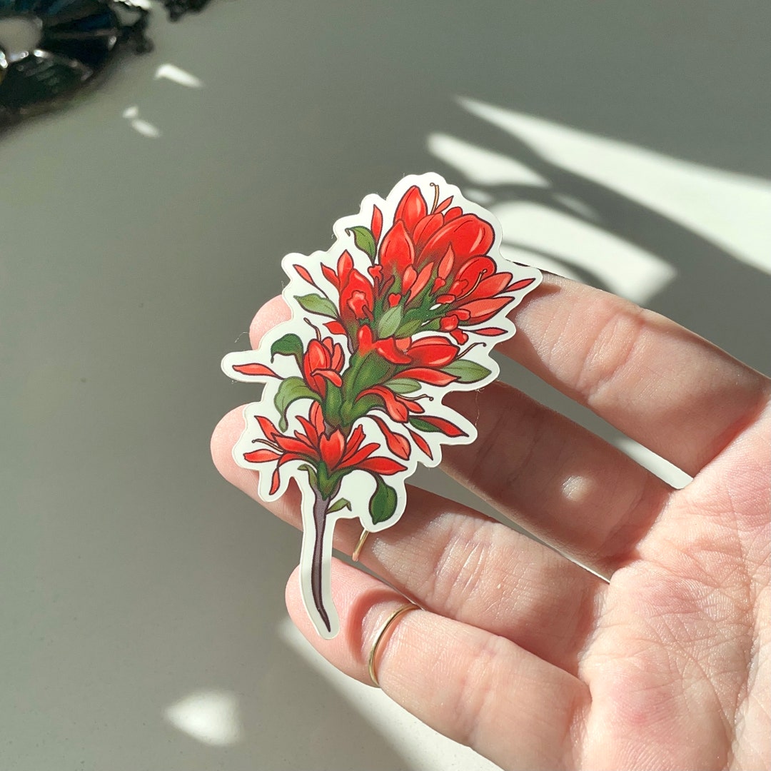 Indian Paintbrush Sticker, Red, Hand Drawn Art, Original, Wildflower ...
