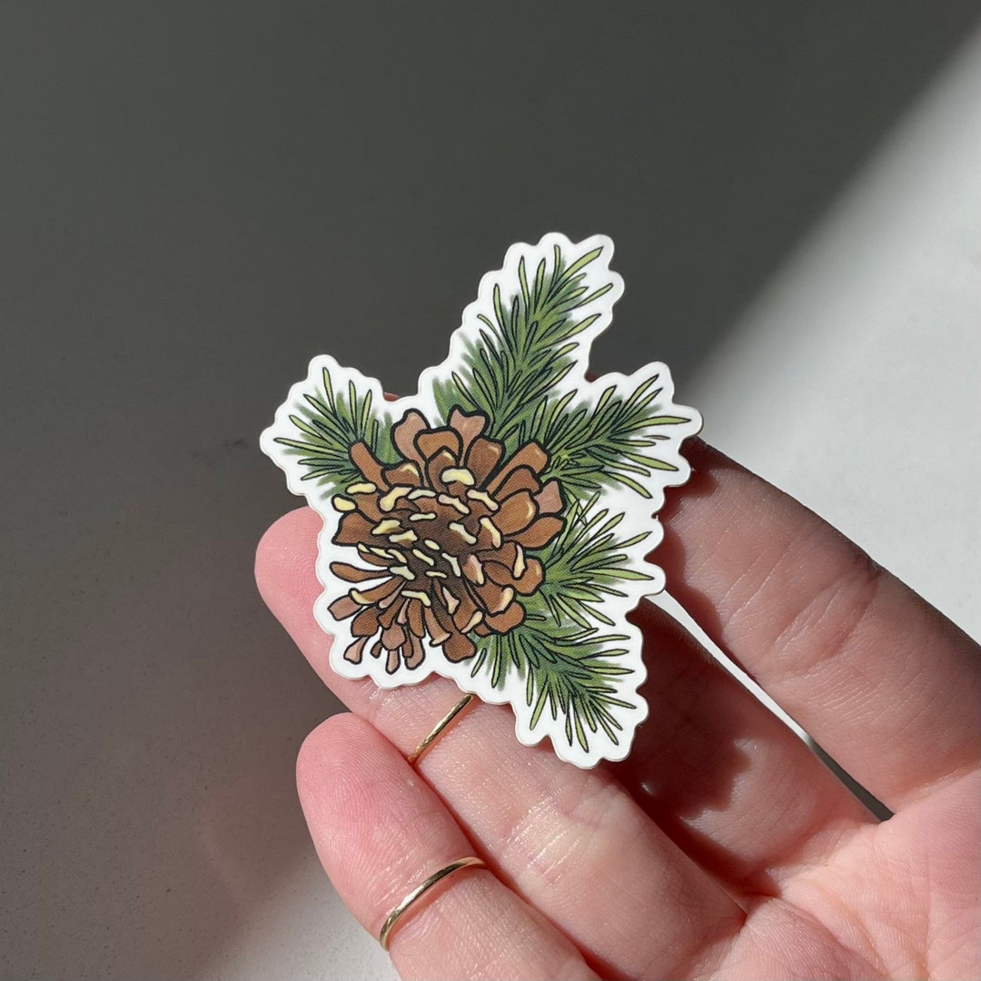 Pinecone Sticker, Forest Art, Water Bottle Waterproof Sticker, High ...
