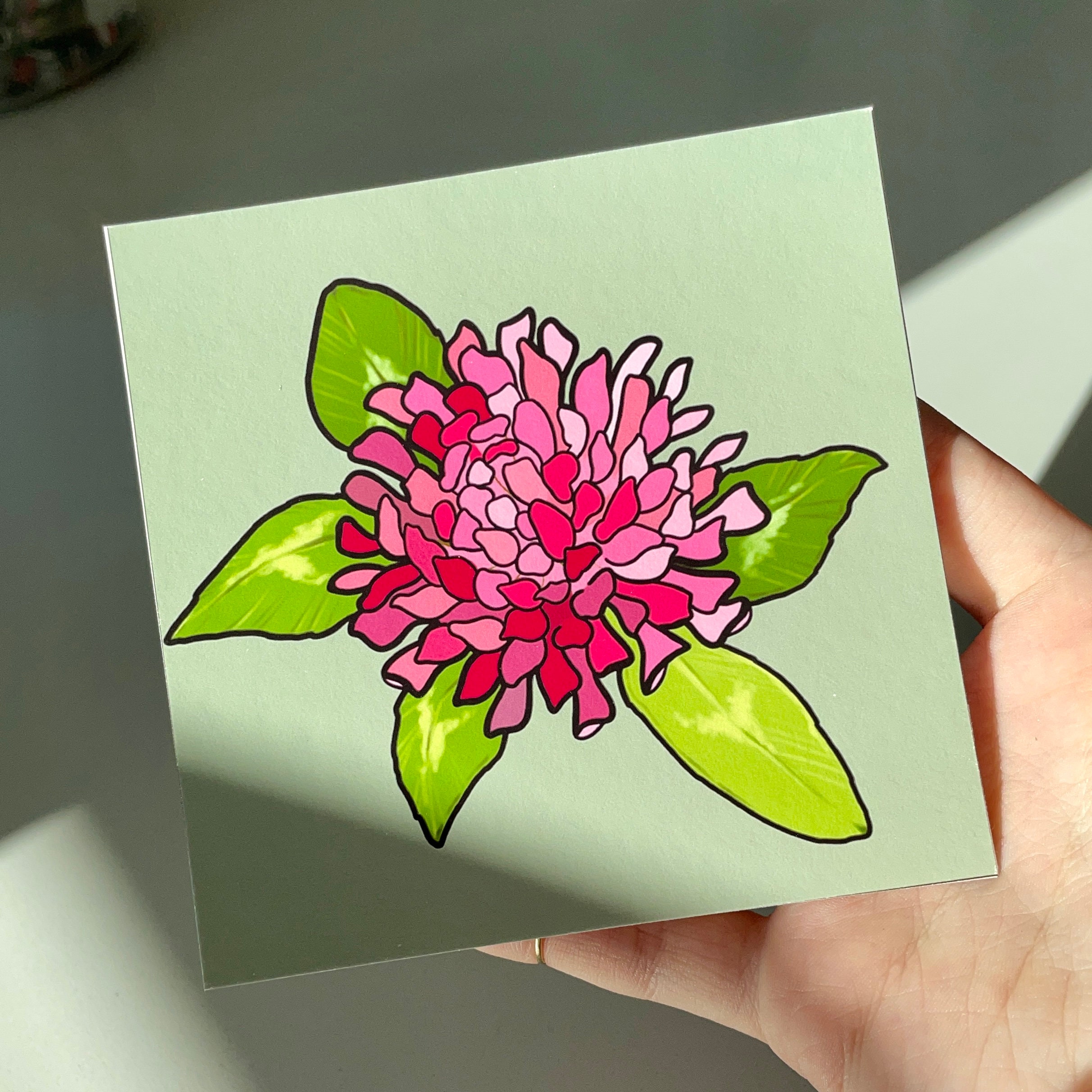 Red Clover Print Clover Art Vermont State Flower | Etsy