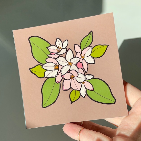 Pink Mayflower Flower