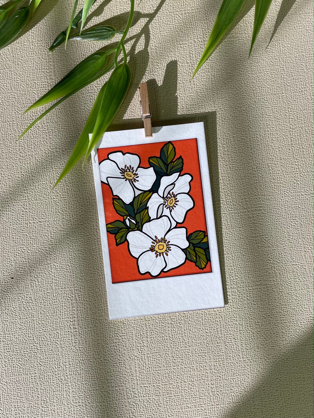 Cherokee Rose Small Print, White Rose Art, Georgia, Eco Friendly ...