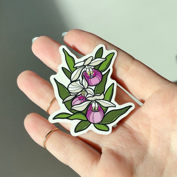 Lady Slipper - Etsy