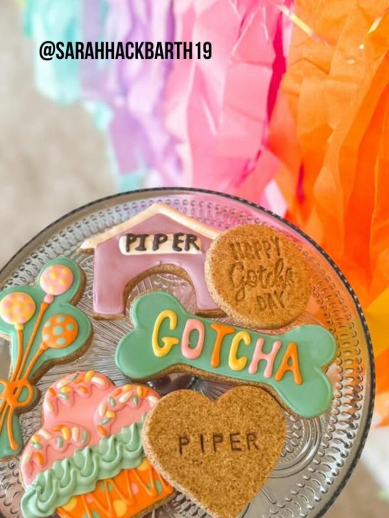 Gotcha Day Dog Treat Gift Box | Gourmet Personalized Dog Treats - Etsy