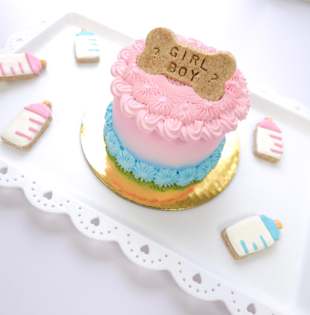 Gender Reveal Dog Cake 4" | New Baby Gender Reveal Cake - Etsy