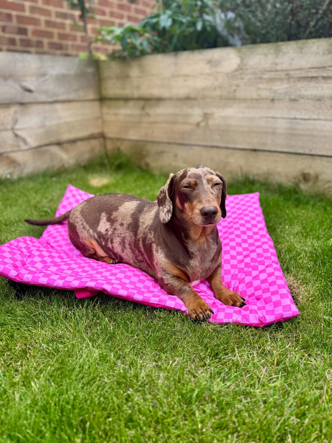 Candy Pink Pub & Picnic Settle Mat - Etsy