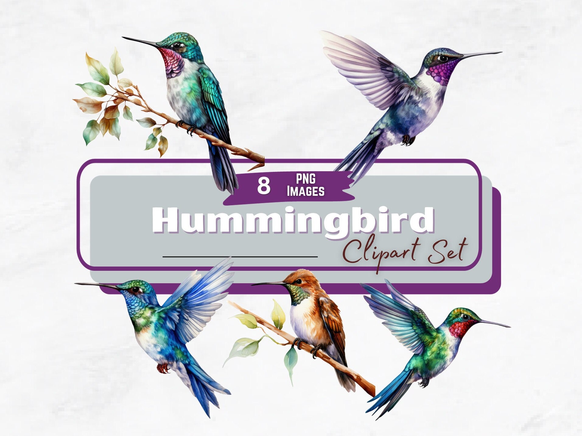 Hummingbird Watercolor Clipart Set, Cute Bird Transparent Clipart ...