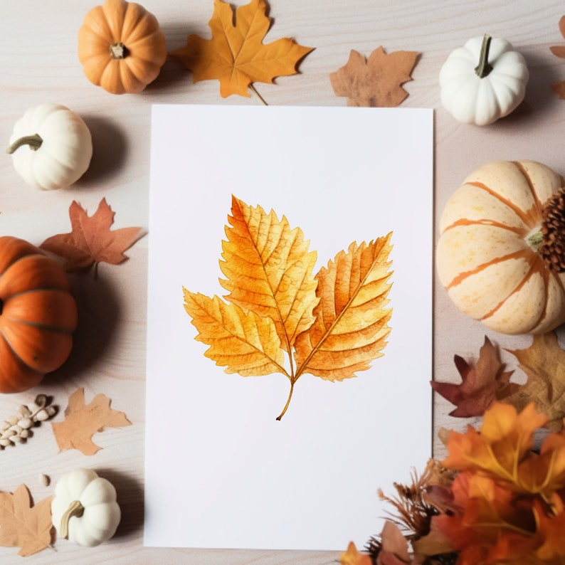 Fall Leaves Clipart Set, Fall Foliage, Autumn Leaf Clipart, Cozy Fall ...