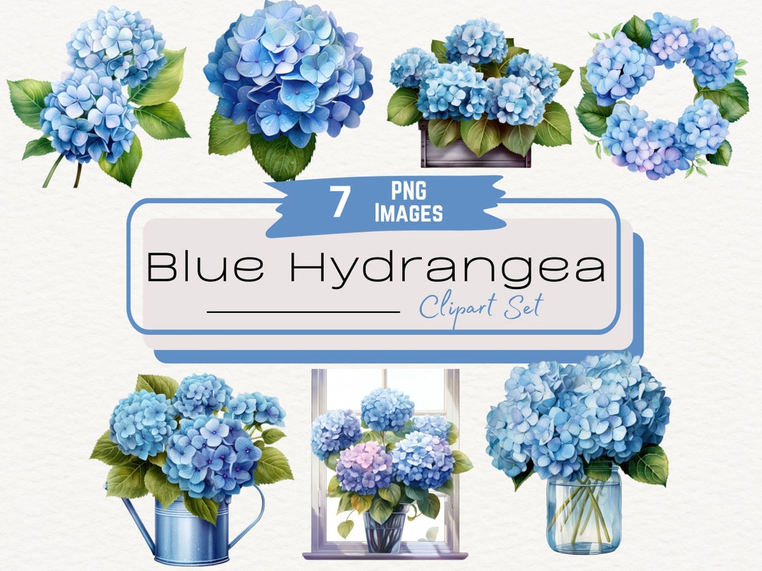Watercolor Blue Hydrangea Clipart Bundle, Spring Floral Bouquets ...