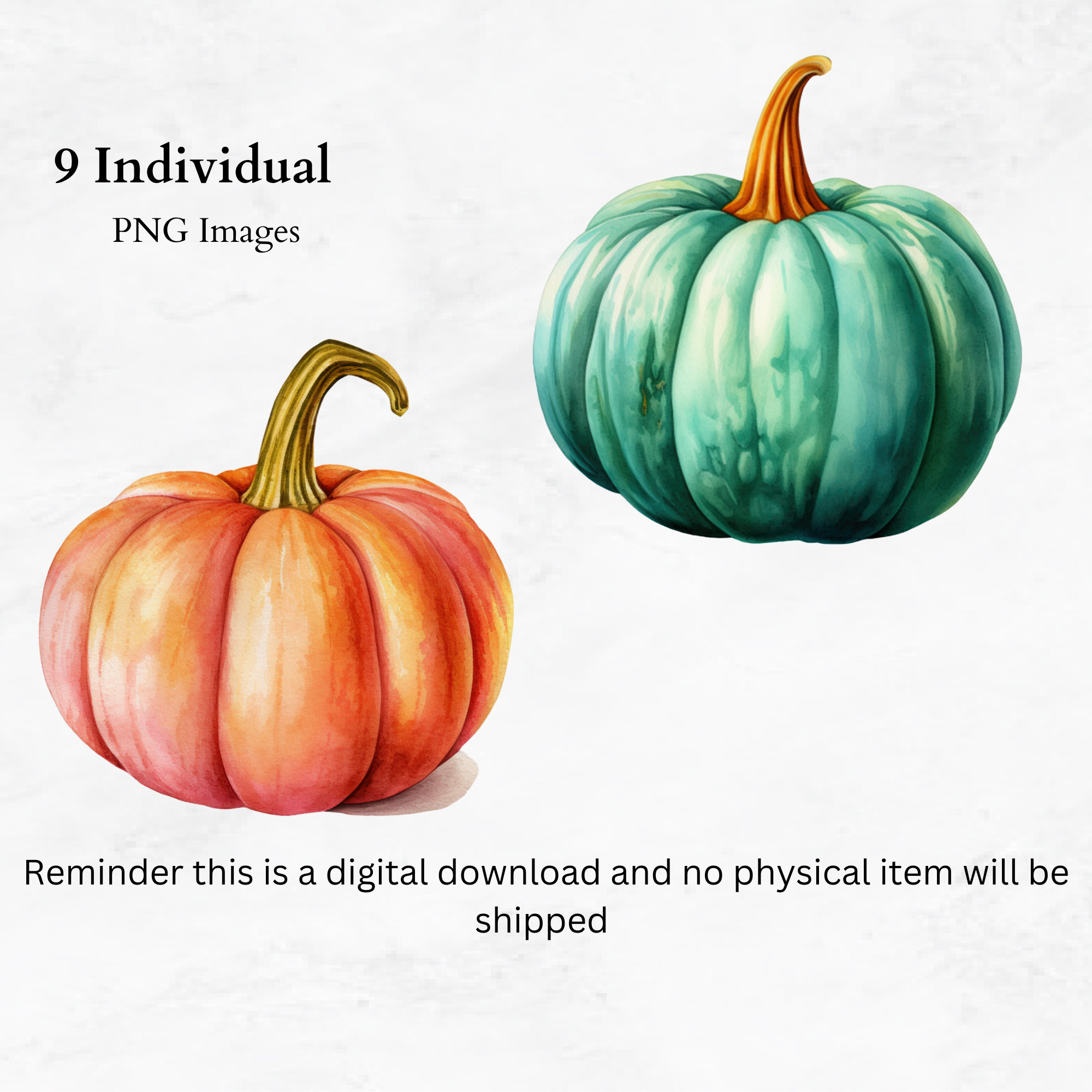 Colorful Watercolor Pumpkin Clipart, Rustic Pumpkin, Fall Pumpkin ...