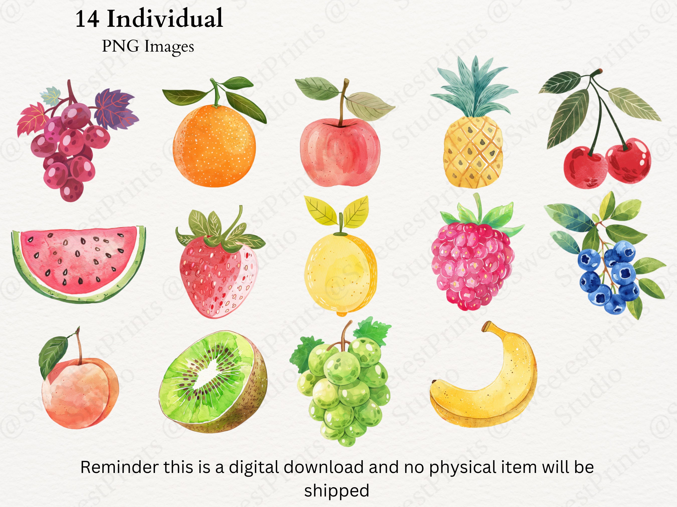 Watercolor Fresh Fruit Clipart Bundle, Fresh Cut Summer Fruit Digital ...