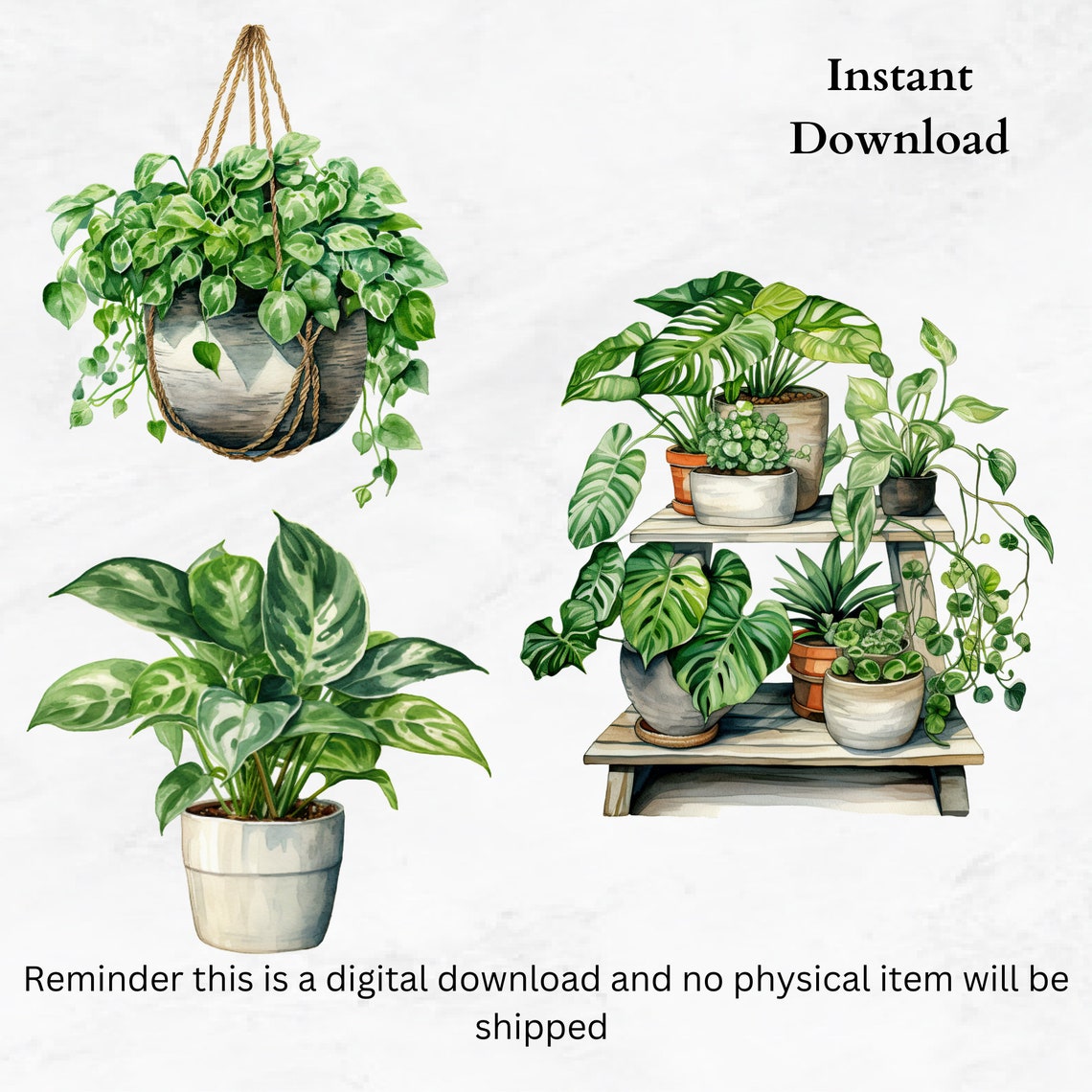 Indoor Plants Watercolor Clipart Bundle House Plant Clipart - Etsy