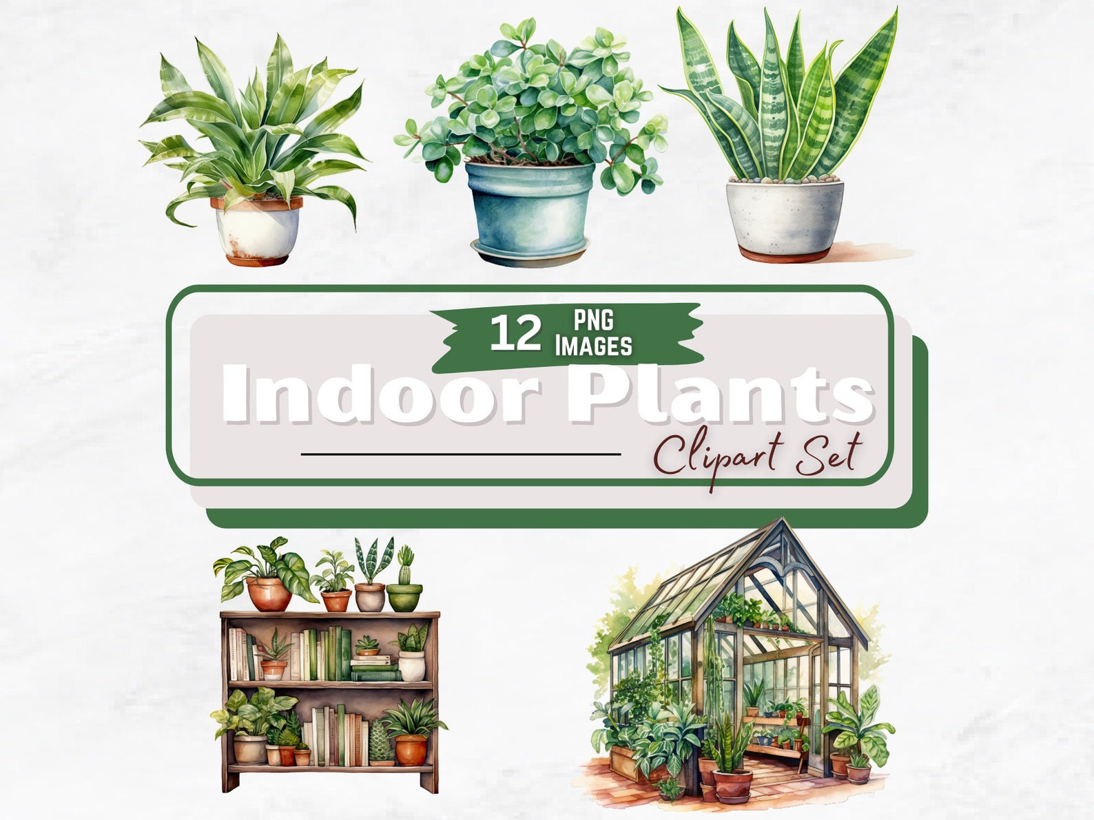 Indoor Plants Watercolor Clipart Bundle House Plant Clipart - Etsy