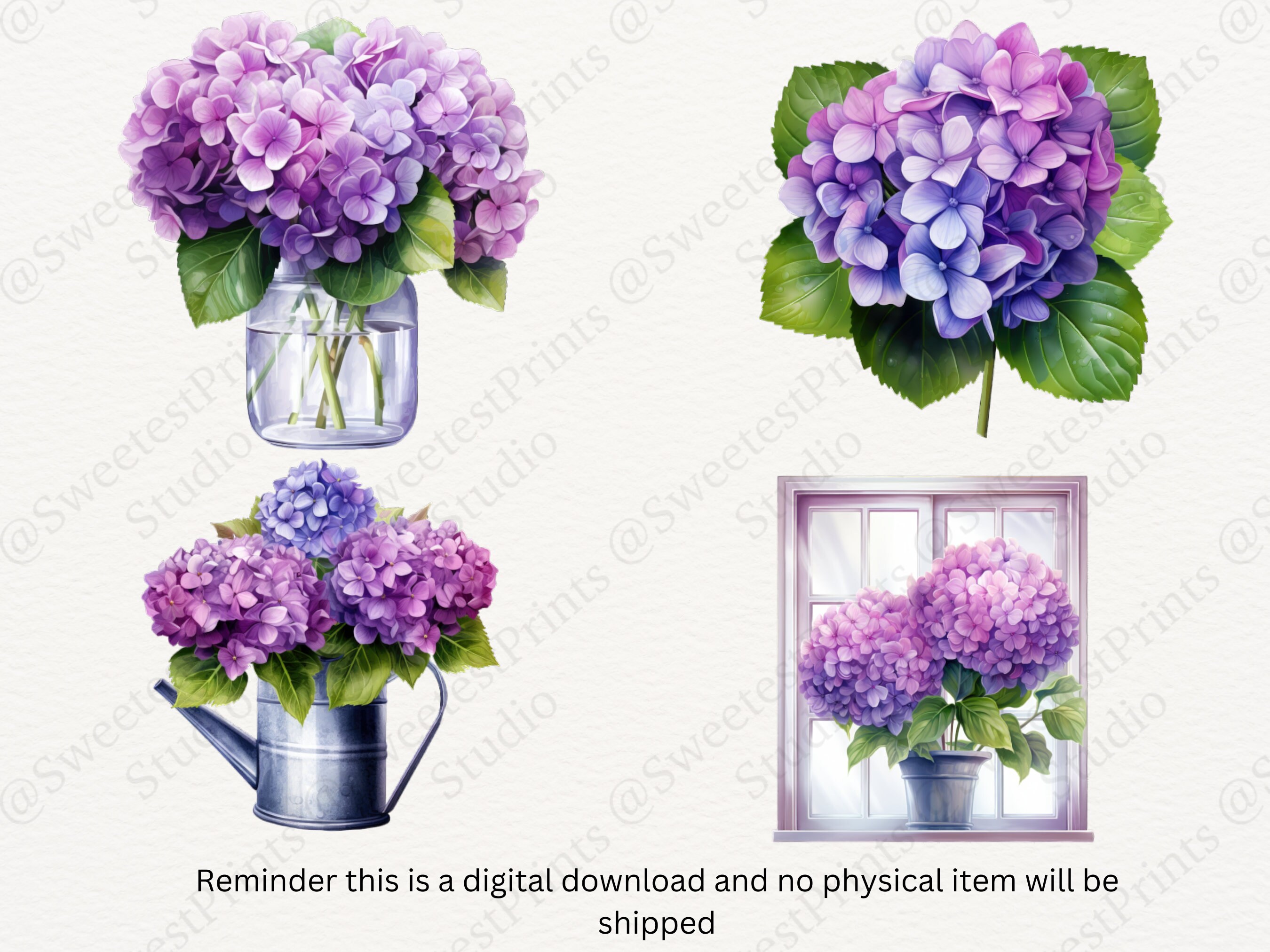 Watercolor Purple Hydrangea Clipart Bundle, Spring Bouquets ...