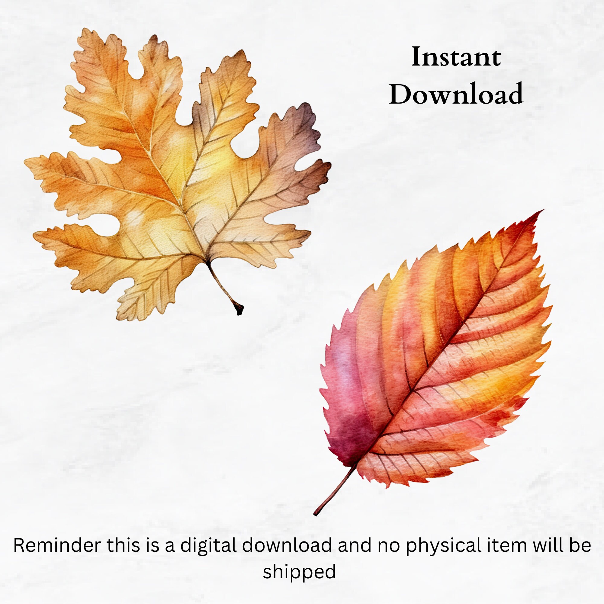 Fall Leaves Clipart Set, Fall Foliage, Autumn Leaf Clipart, Cozy Fall ...