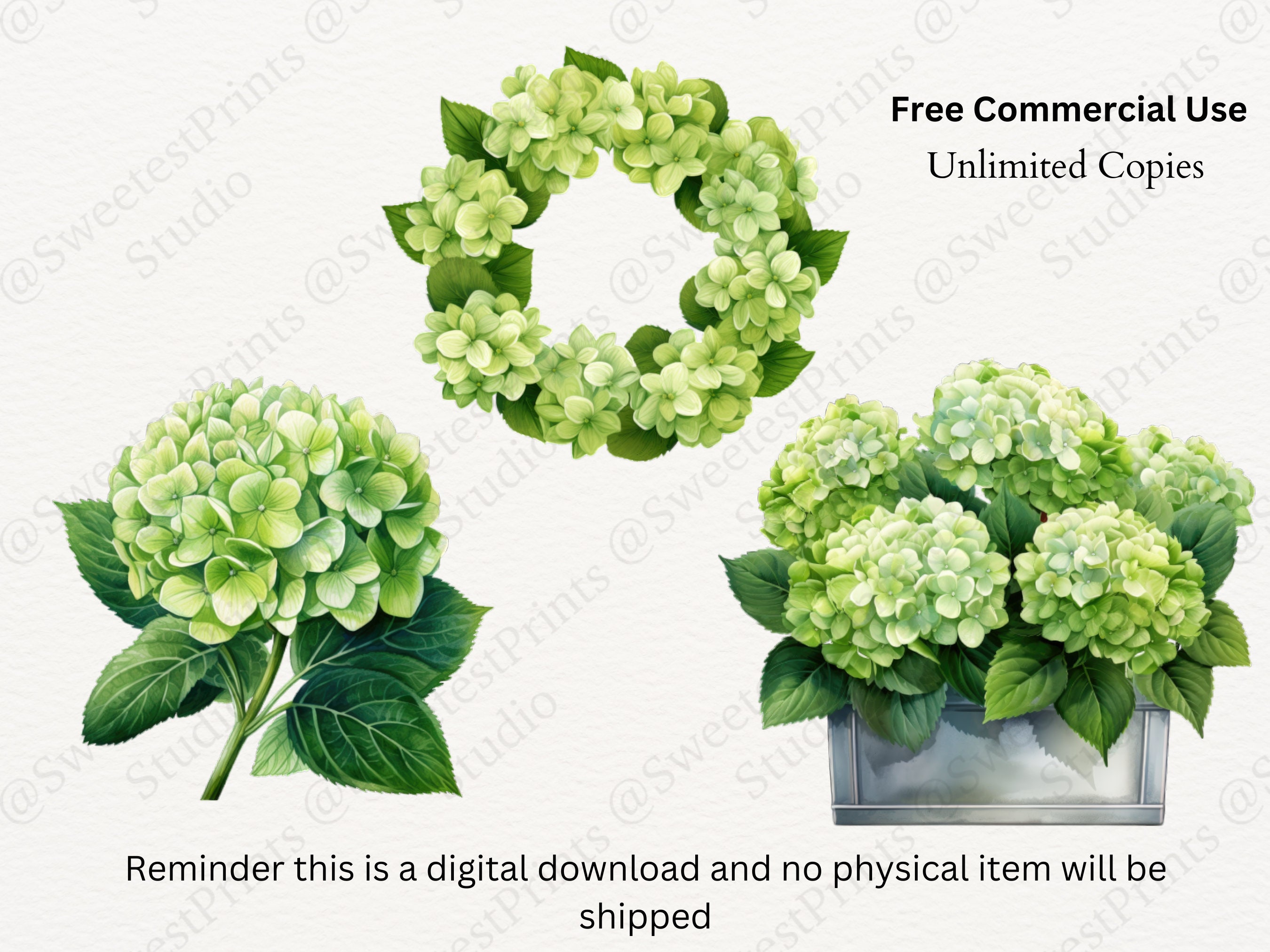 Watercolor Green Hydrangea Clipart Bundle, Spring Floral Bouquet Illustrations, Spring Summer ...