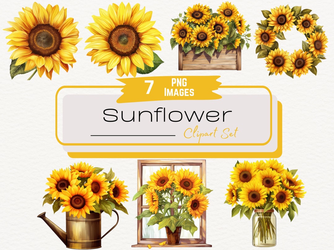 Watercolor Sunflower Digital Clipart Bundle Fall Spring Bouquet Graphic ...