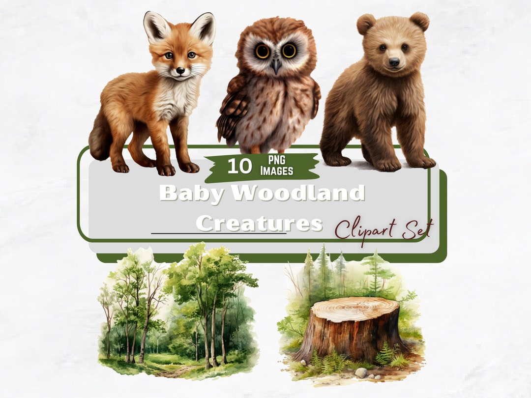 Baby Woodland Creatures Watercolor Clipart Set, Forest Animal Clipart ...