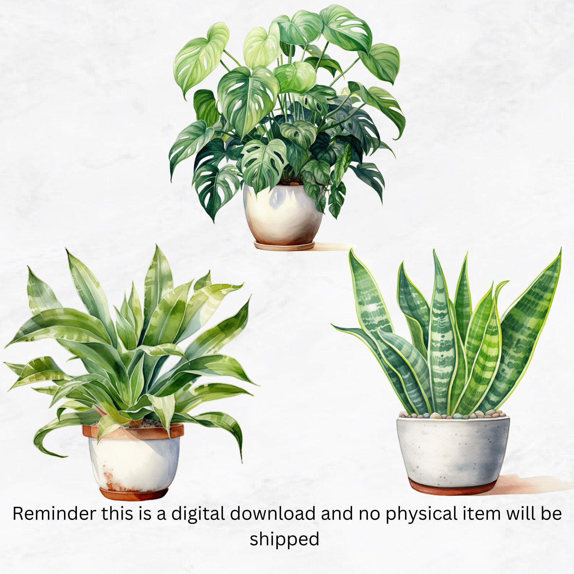 Indoor Plants Watercolor Clipart Bundle, House Plant Clipart, Gardening ...